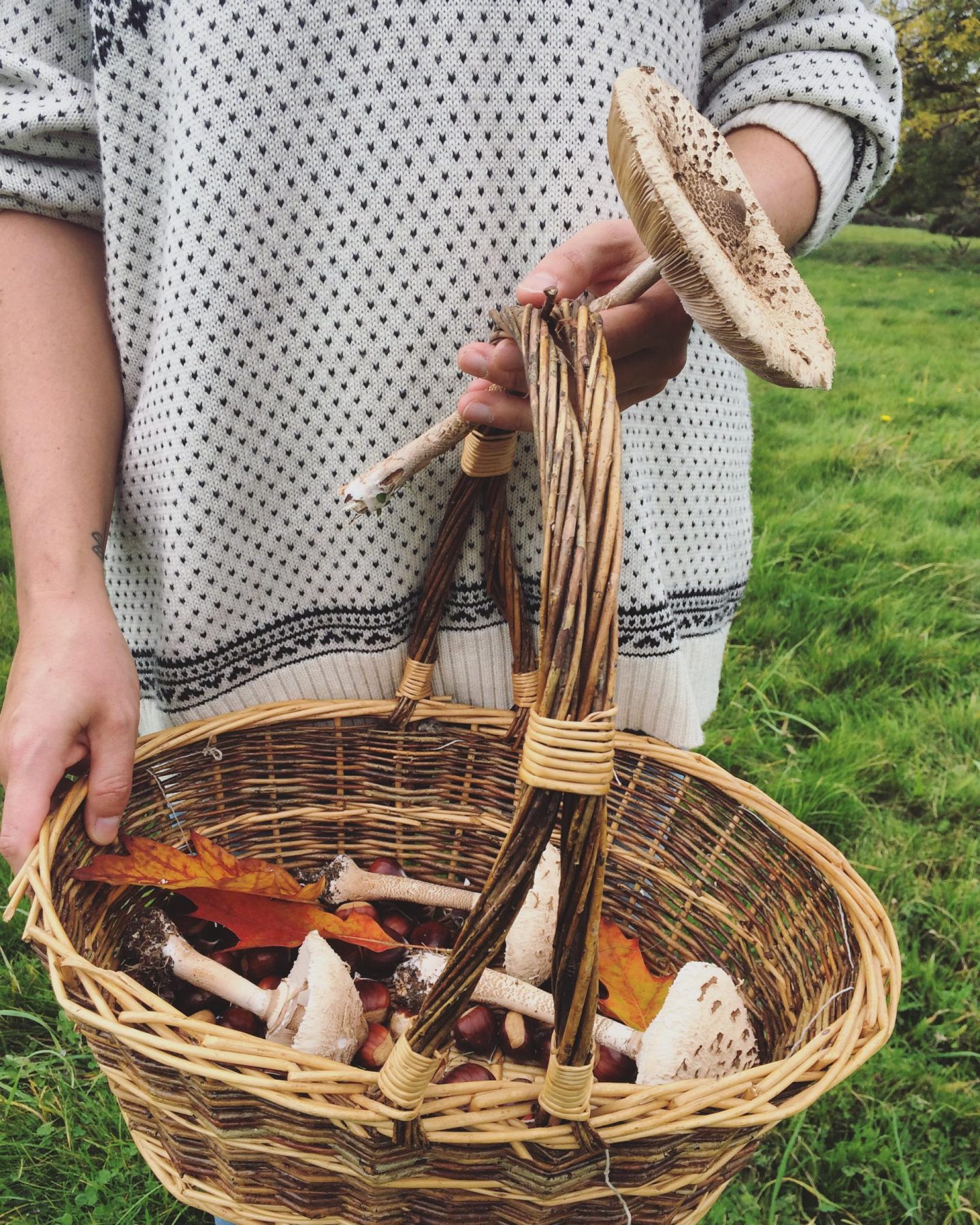 Foraging in autumn in Britain- guide to what to pick in Britain and recipes