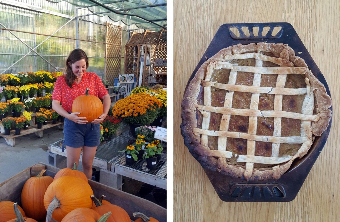 Easy Pumpkin Pie Recipe | Use Your Leftover Pumpkins