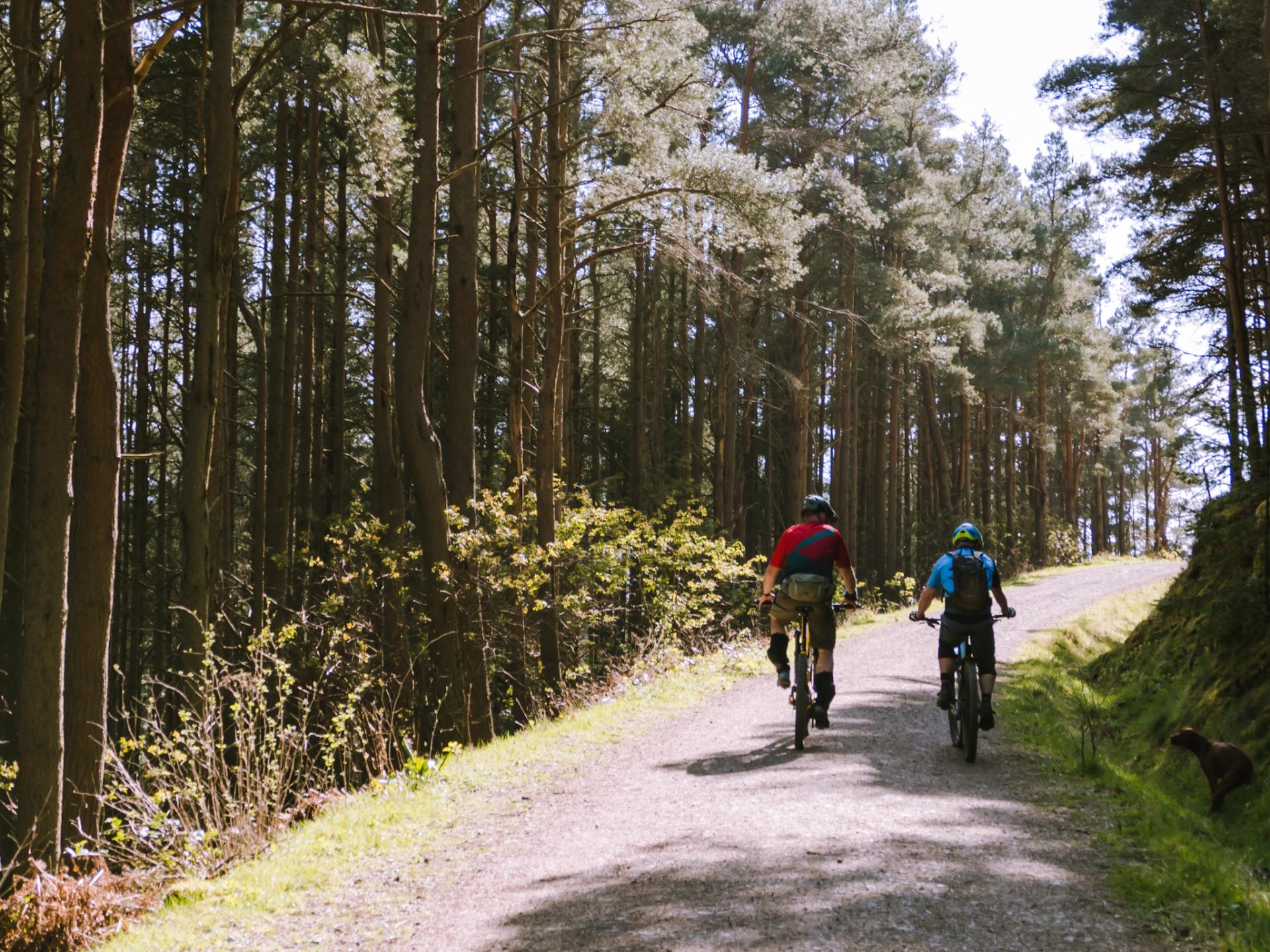 Explore the Tweed Valley, Scotland | Active guide to the Tweed Valley