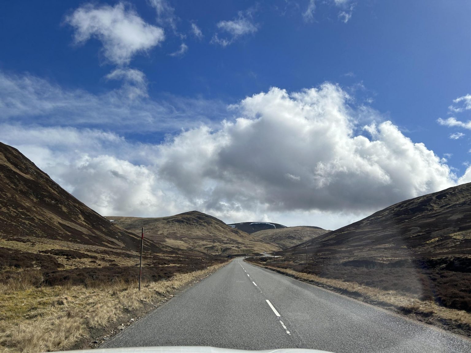 Green Motion Car Rental Review at Bambi Foust blog